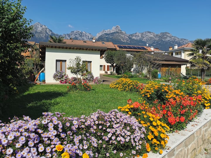 Glicine Delle Dolomiti - Mel