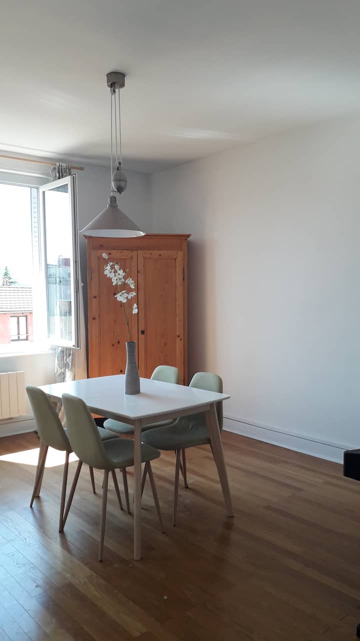 Grand T2 Lumineux Et Calme - Villeurbanne