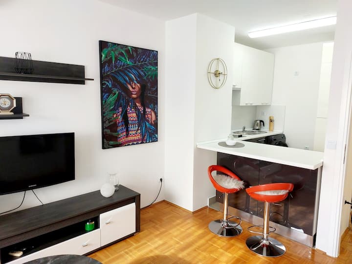 Apartman Stara Sava Zagreb - Zagreb