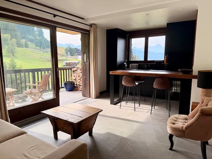 Appartement En Face Des Pistes Avec Deux Chambres - Megève