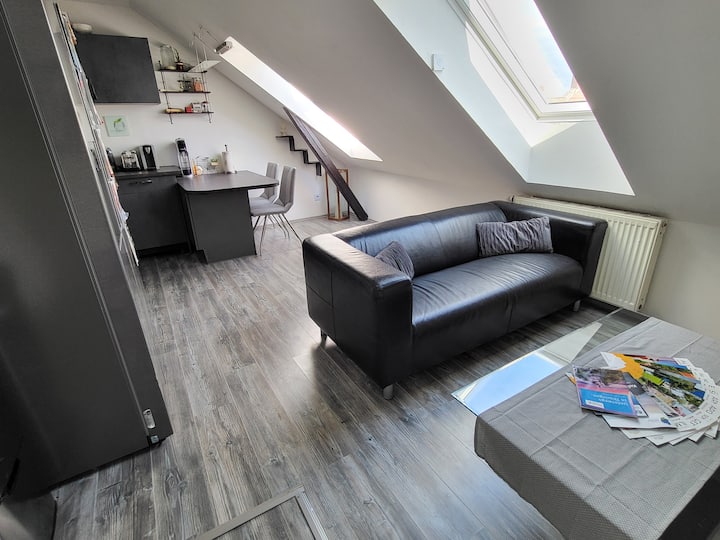 Charmantes Apartment In Der Nähe Vom Erfurter Dom - Erfurt