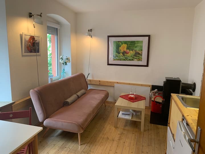 Mosel – ÜRzig - Das Marienkäferhaus - Apartment 1 - Bernkastel-Kues