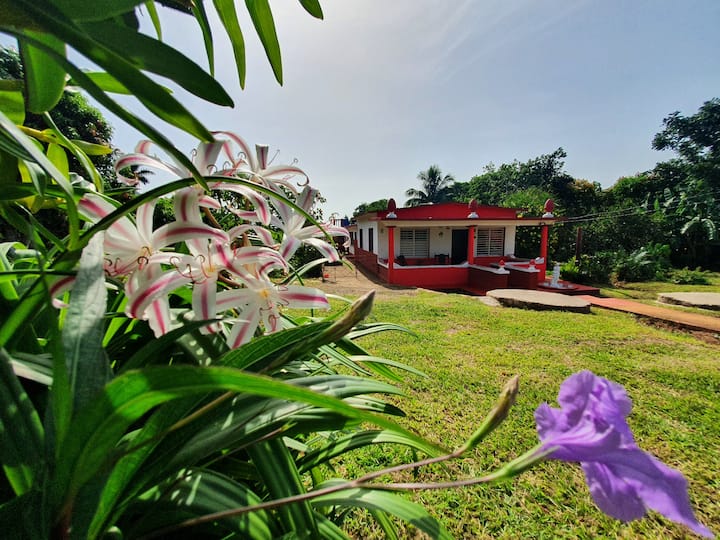 Villa La Esperanza 1: Vista | Naturaleza | Viñales - Viñales