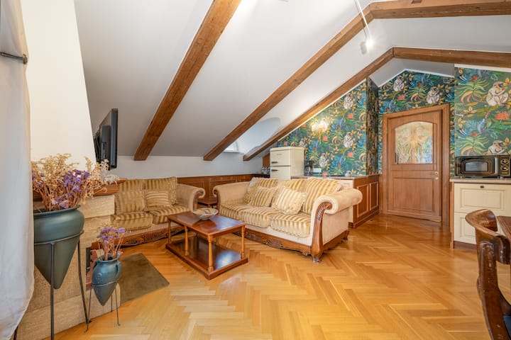 Quiet Penthouse,sauna,fireplace,garden,old Town - Tallinn