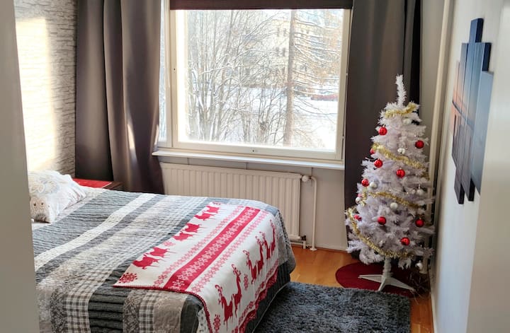 Comfortable Downtown 2 Bedroom Apartment - Rovaniemi