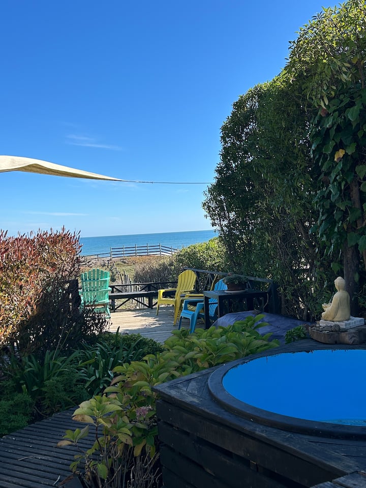 Primera Línea, A Pasos Punta De Lobos. - Pichilemu