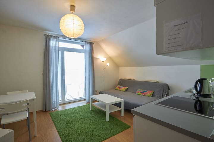 Pension Emilia 1 Bedr. Apartment - Slovakia