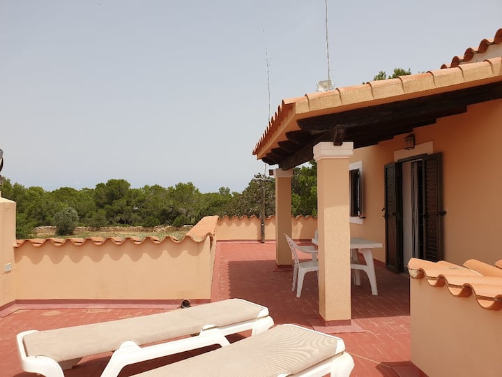 Paco Paya Arriba By Formentera Feeling - Formentera