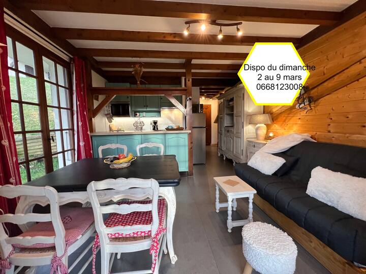 Studio Terrasse, Superbe Vue Sur Les Montagnes. - Flumet