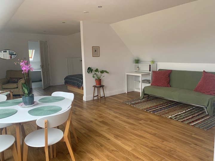 Bright And Spacious East Cork Studio Apartment. - Midleton