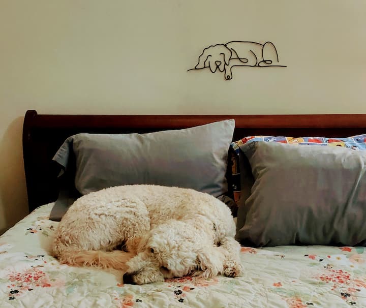 Dog Heavenly! Private, Beautiful And Relaxing. - Vermont