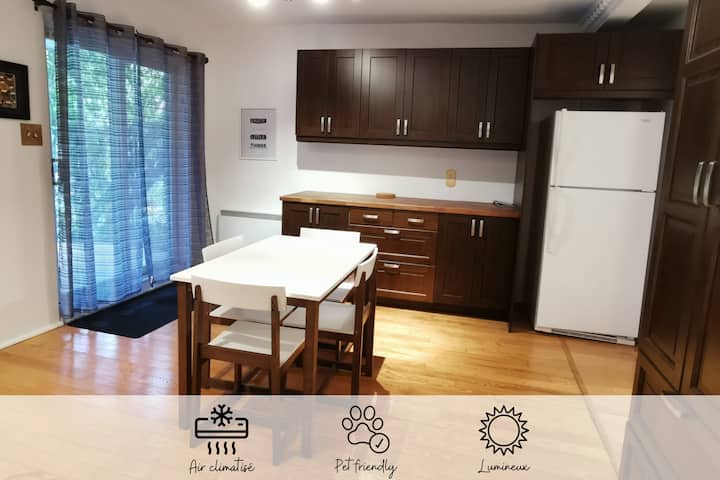 Appartement De Charme | Chien Accepté | Patio | Ac - Montréal, QC