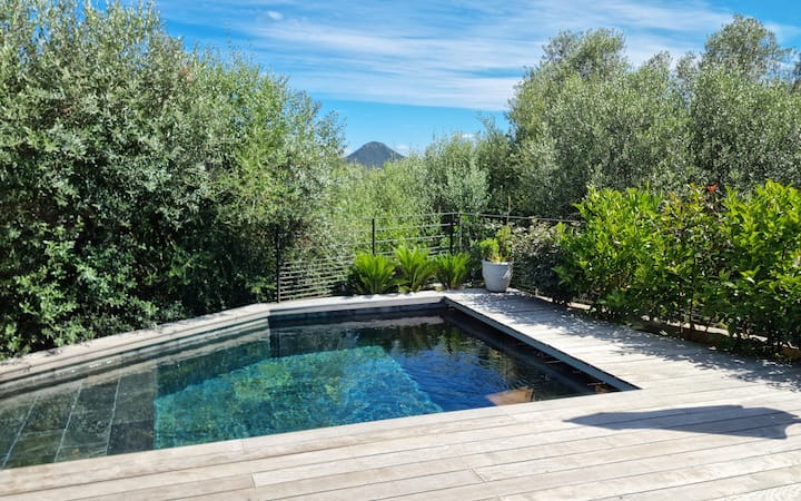 Villa L'alivi, Piscine Privée Chauffée, Prox Ville - Palombaggia