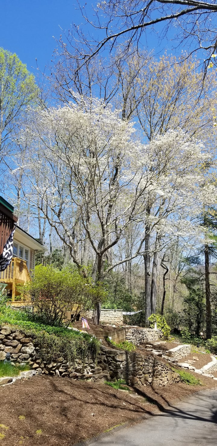 Convenient And Spacious - Black Mountain, NC