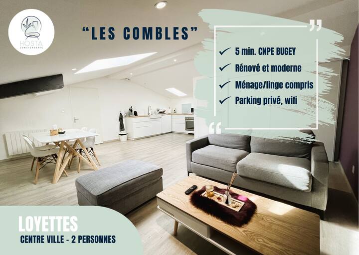 Les Combles_ Charmant T2 Idéal Cnpe Bugey-pipa - Lyon-Saint Exupéry Airport (LYS)