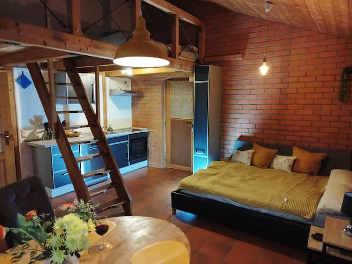 Kehlhof 1 - One-room Apartment At Lake Constance - Öhningen