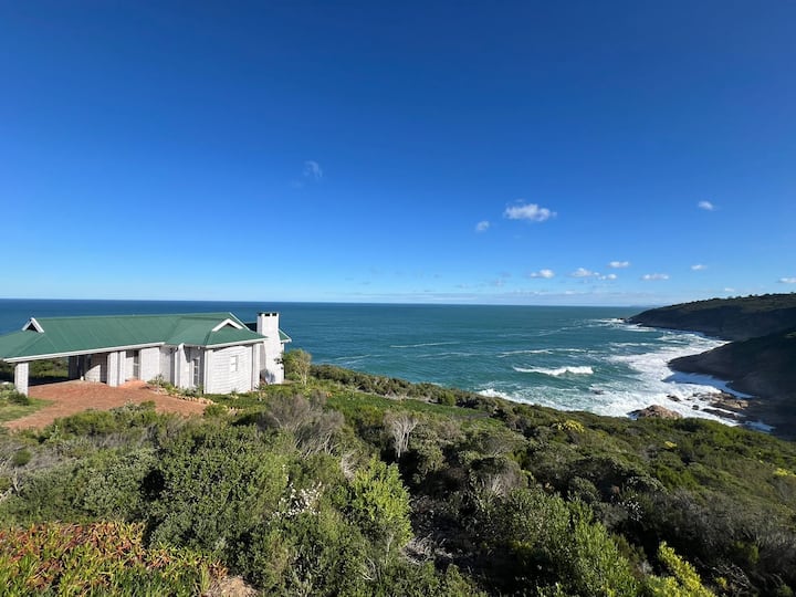 Blue Whale Resort -Sea View Chalet | Double + Twin - Wilderness