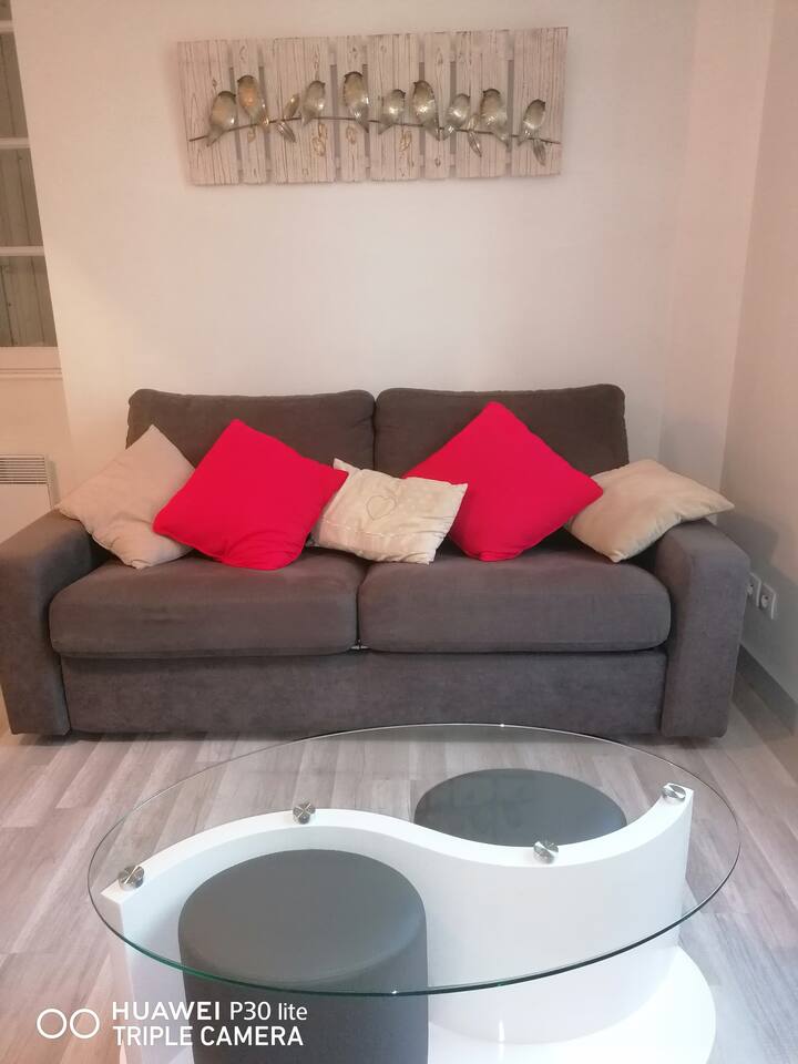 Appartement Cosy 35 M2 En Centre Ville - La Rochelle