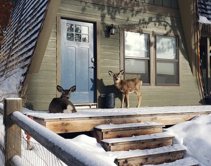 Dogwood Days - Ponderosa State Park, McCall