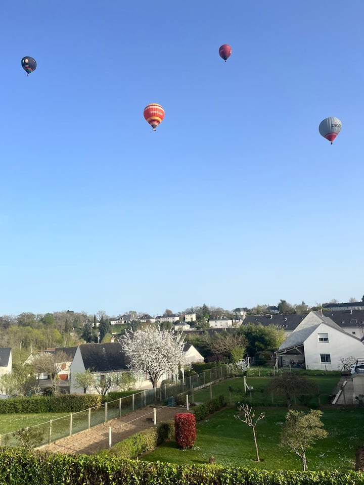 T2 Saint Hilaire Saint Florent Saumur - Saumur