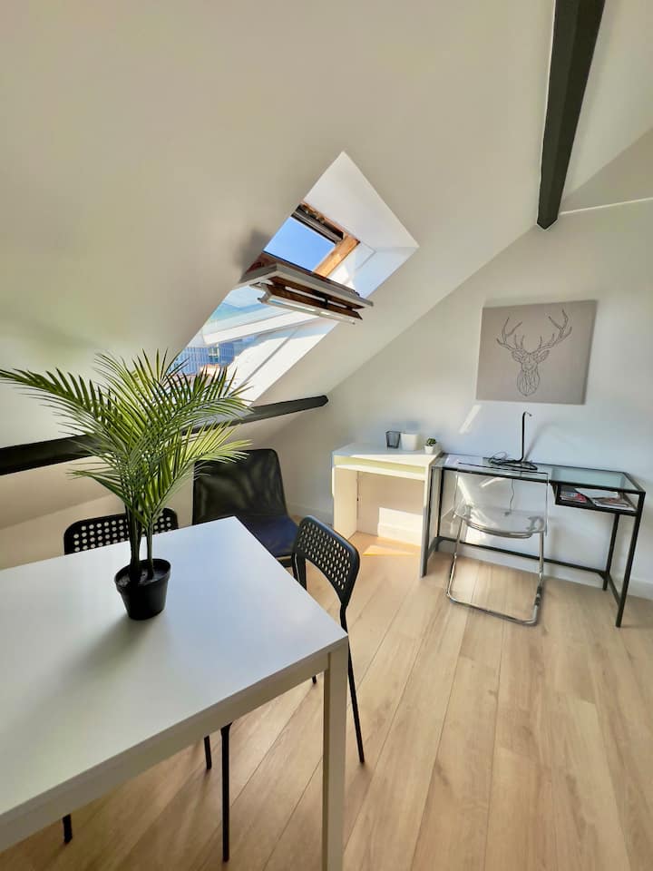 Le Gurvand Duo - Gare / Centre-ville - Rennes