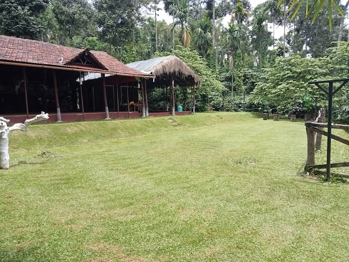 Wood Shack Campsite - 果達古縣