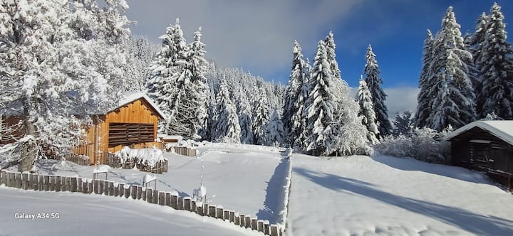 Comfortable Apartment Near The Ski Station - Flims