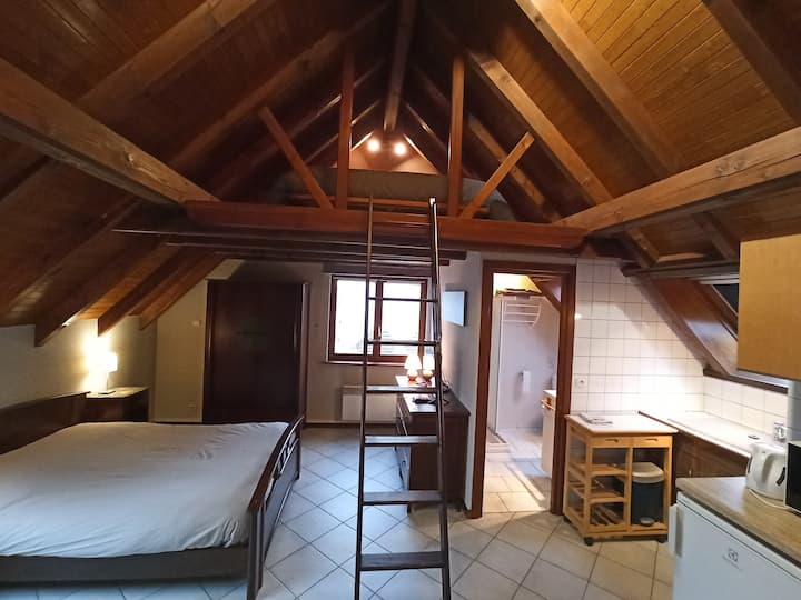 Gîte Studio 2-4 Personnes Proche De Strasbourg - Strasbourg