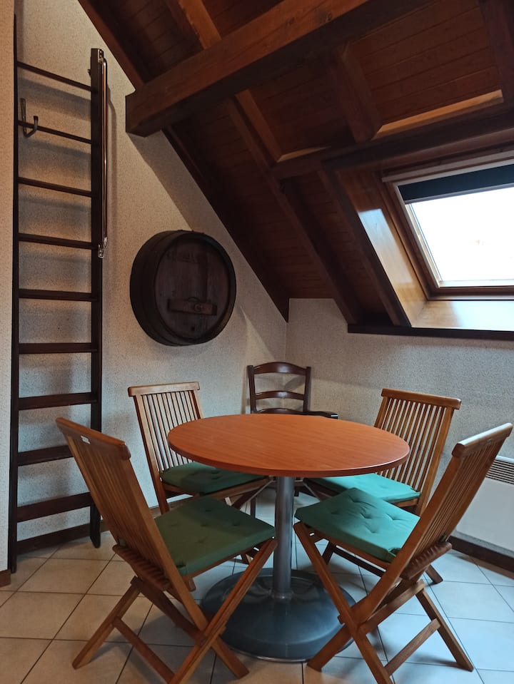 Gîte Studio 2-4 Personnes Proche De Strasbourg - Bischheim