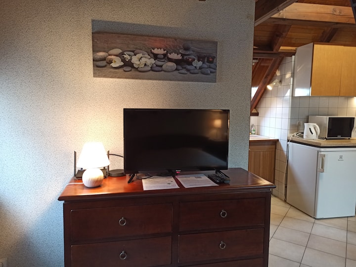 Gîte Studio 2-4 Personnes Proche De Strasbourg - La Wantzenau