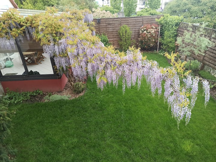 Gîte Studio 2-4 Personnes Proche De Strasbourg - Strasbourg