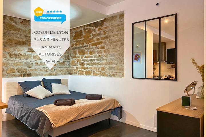 Suite Lyonnaise : Grand Studio, Au Pied Des Pentes - Lyon