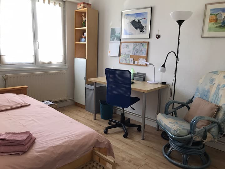 Petite Chambre "Au Pays Des Cigognes" - Strasburgo