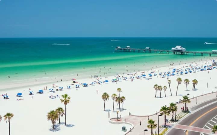 The Newly Renovated Avalon Clearwater 1 Bdrm Condo - 클리어워터