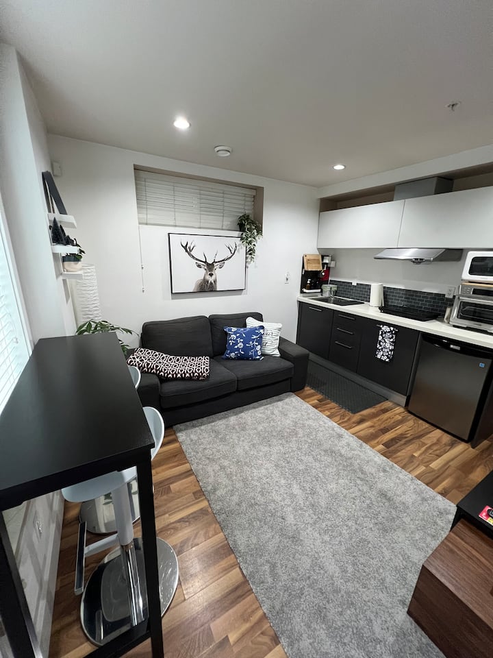 Cozy & Modern 1br Private Suite Prime Location - Burnaby