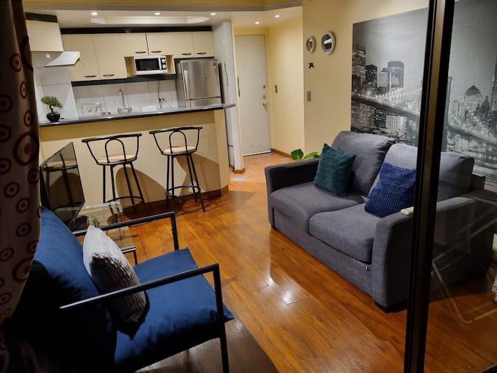 Moderno Apartamento Santiago - Chili