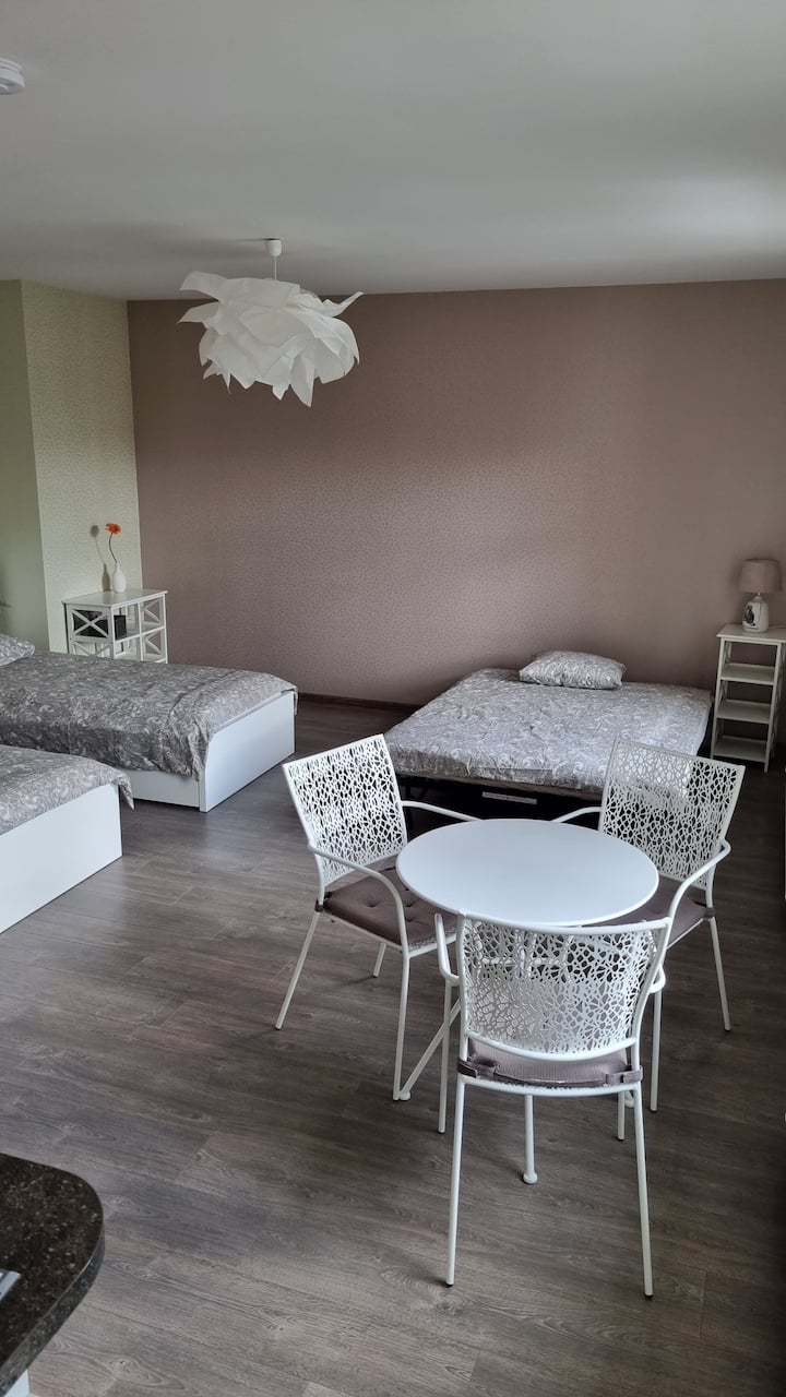 Studio Apartment In Center - Riga