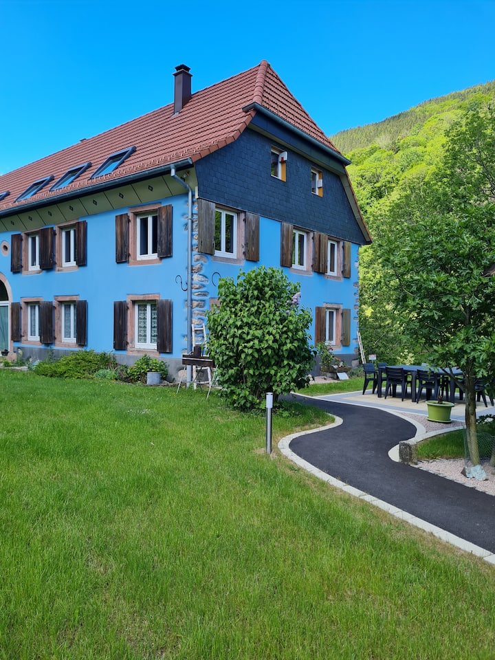 Oude Boerderij Vosges Traditionele Cottage Omgezet In - Sainte-Marie-aux-Mines