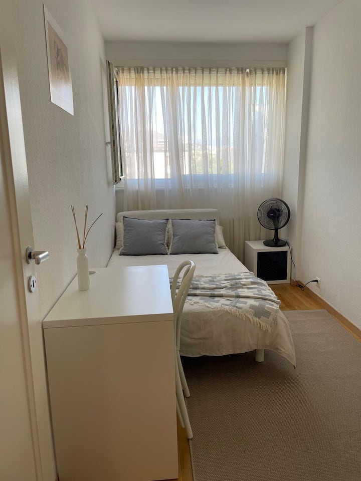 Nice Downtown Room - Ginebra