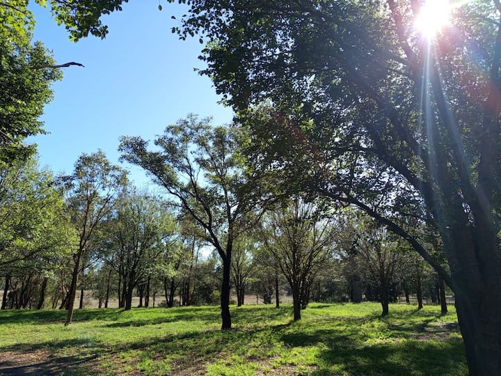 Woodlands Farm - Rosedale