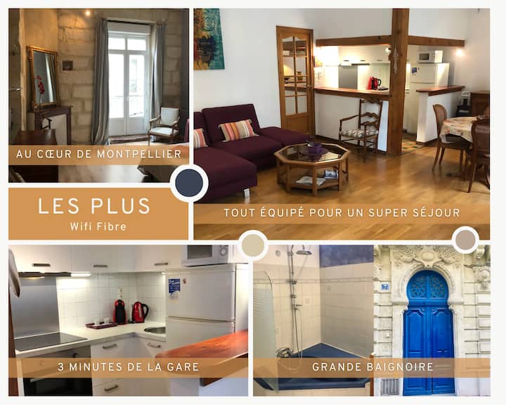 Bel F2, Clim ,Coeur De Ville,comédie,gare St Roch - ibis Montpellier Centre Comedie