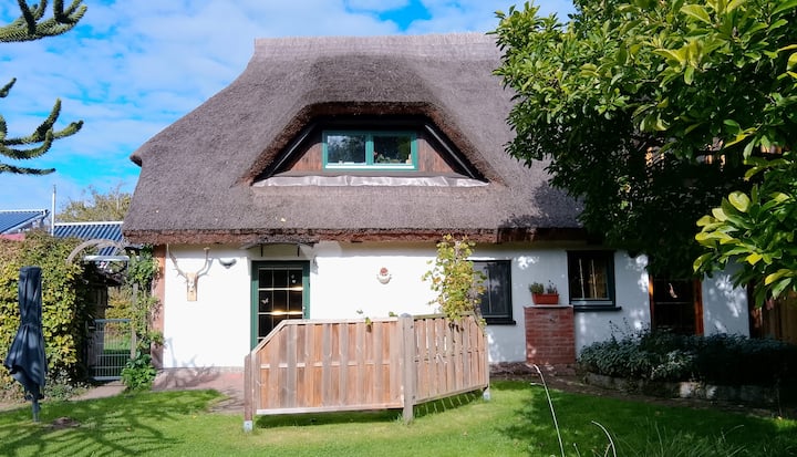 Urlaub Am Mehr - Schaprode