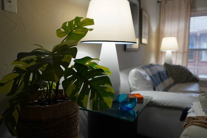 Professionally Decorated 2br Apt In Great Location - Dallas, TX