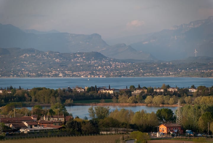 Vue Du Lac, Bienvenu Les Animaux - Sirmione
