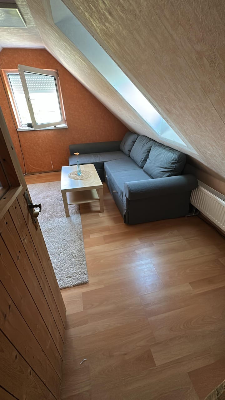 Große Dachgeschosswohnung, Ca. 35 M², 1, 2-3 Pers. - Leipzig