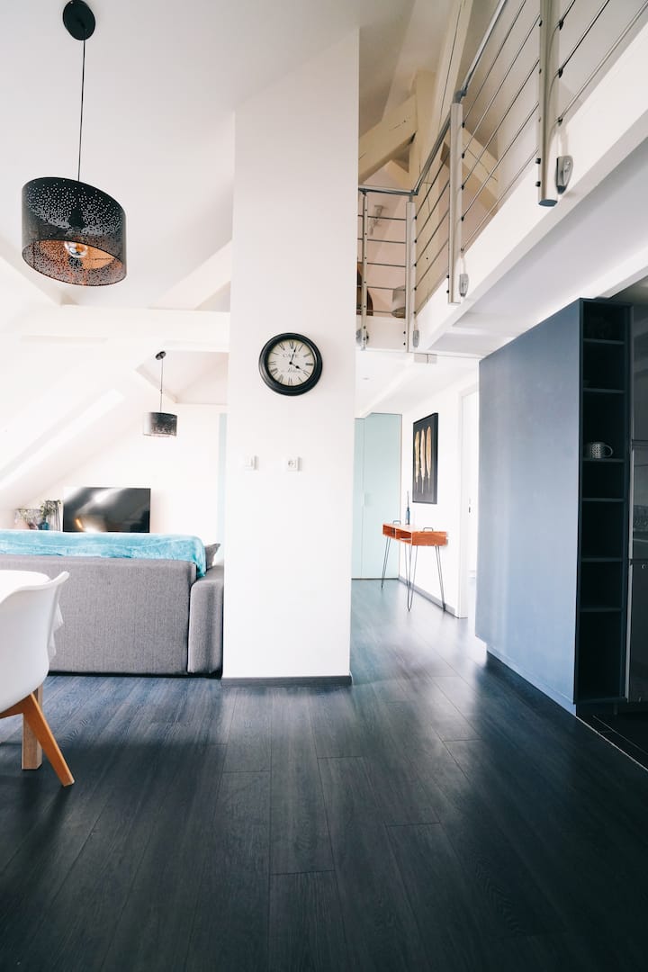 Appartement Calme & Climatisé,hyper Centre Colmar. - Colmar