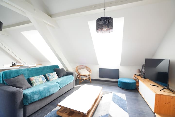 Appartement, Hyper Centre Colmar+ Parking Privé - Colmar