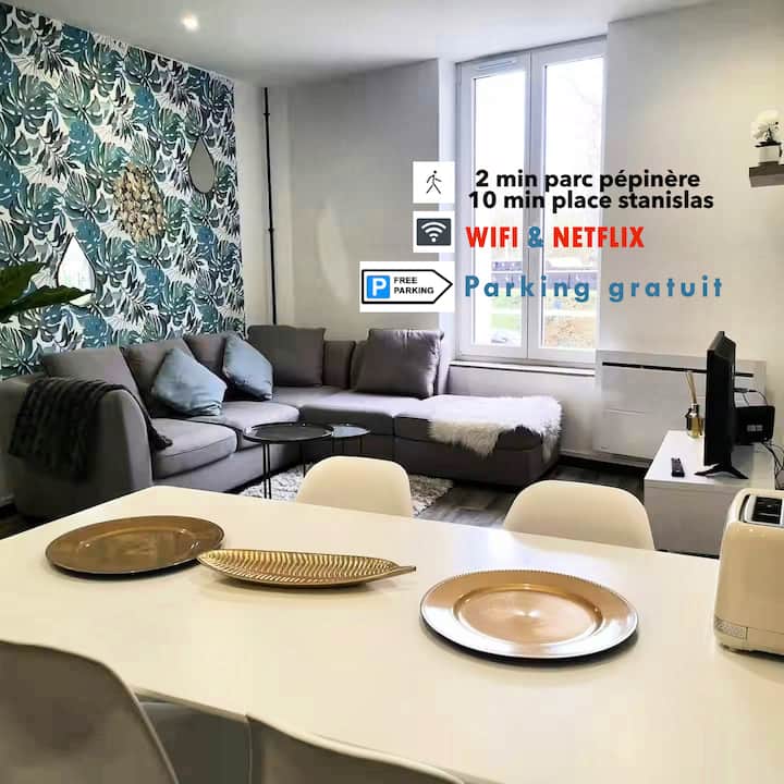 Bel Appartement Avec Vue Sur Les Péniches De Nancy - Nancy