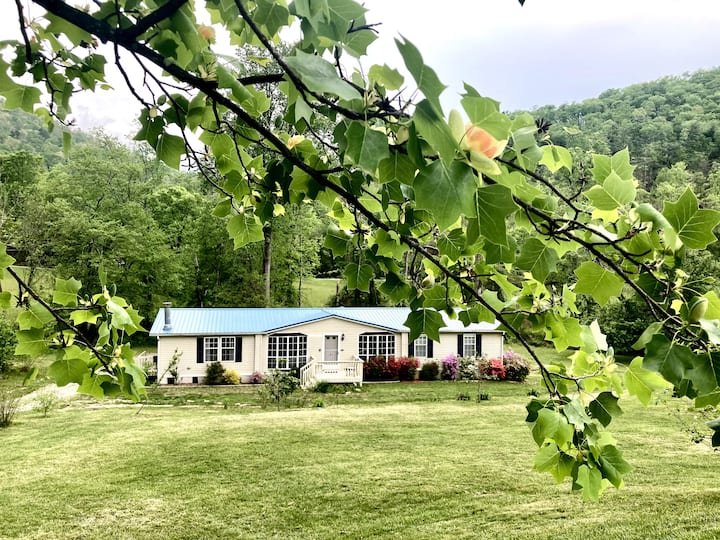 Breathtaking Views,
Close To Downtown - Asheville