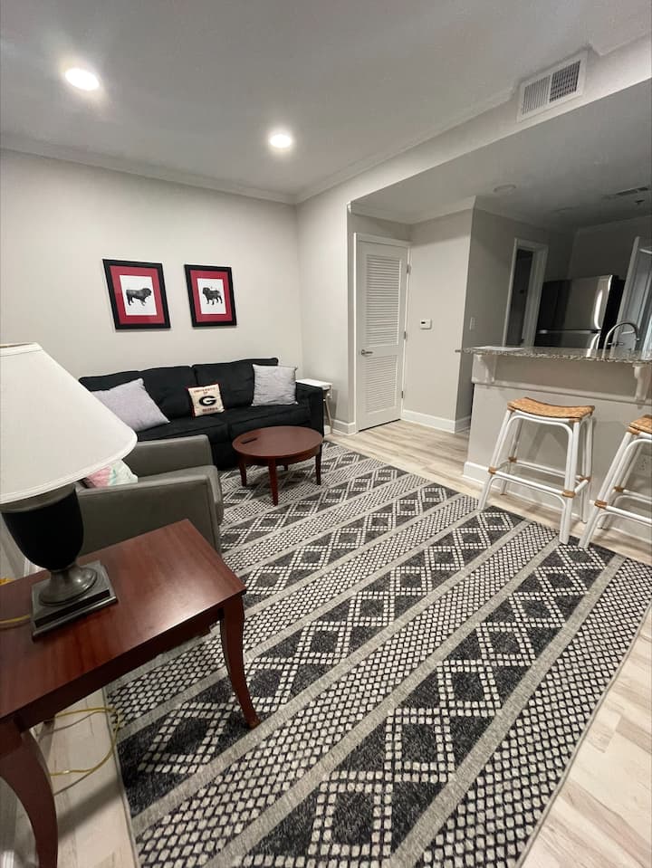 Gameday - Amazing Downtown Condo! (#521) - Athens, GA